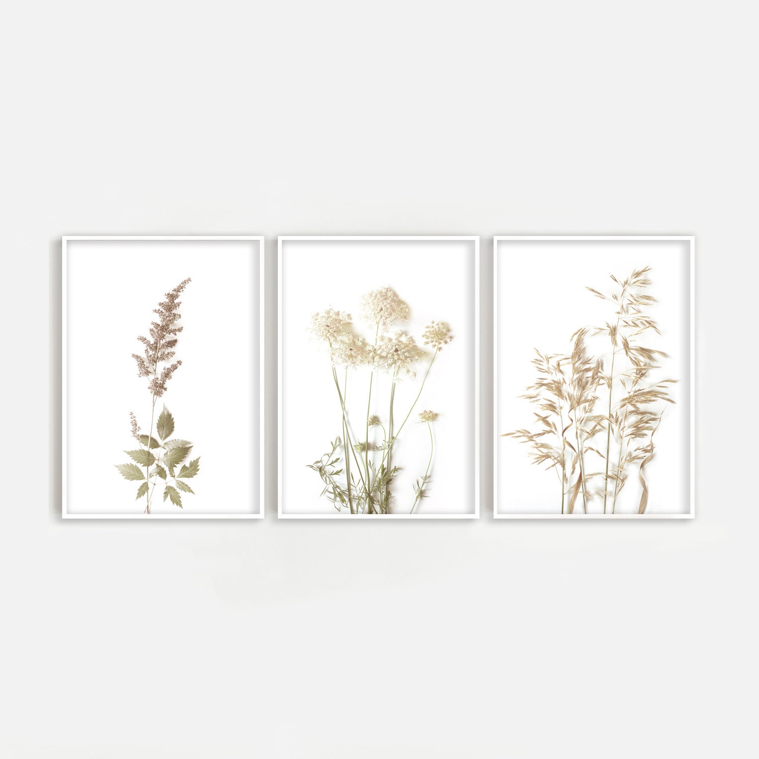 Botanical Print Set of 3 Wild Flowers Prints Farmhouse - Etsy