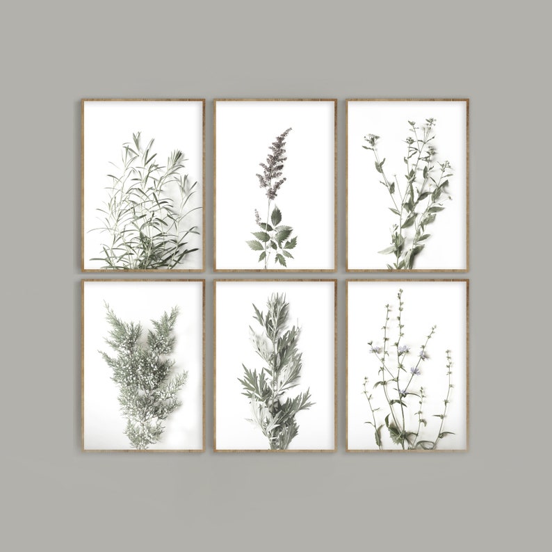 Botanical Print Set of 6 Digital Downloads, Wild Flowers Prints ...