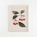 Cherry Print Minimal Kitchen Decor Abstract Cherry Printable - Etsy