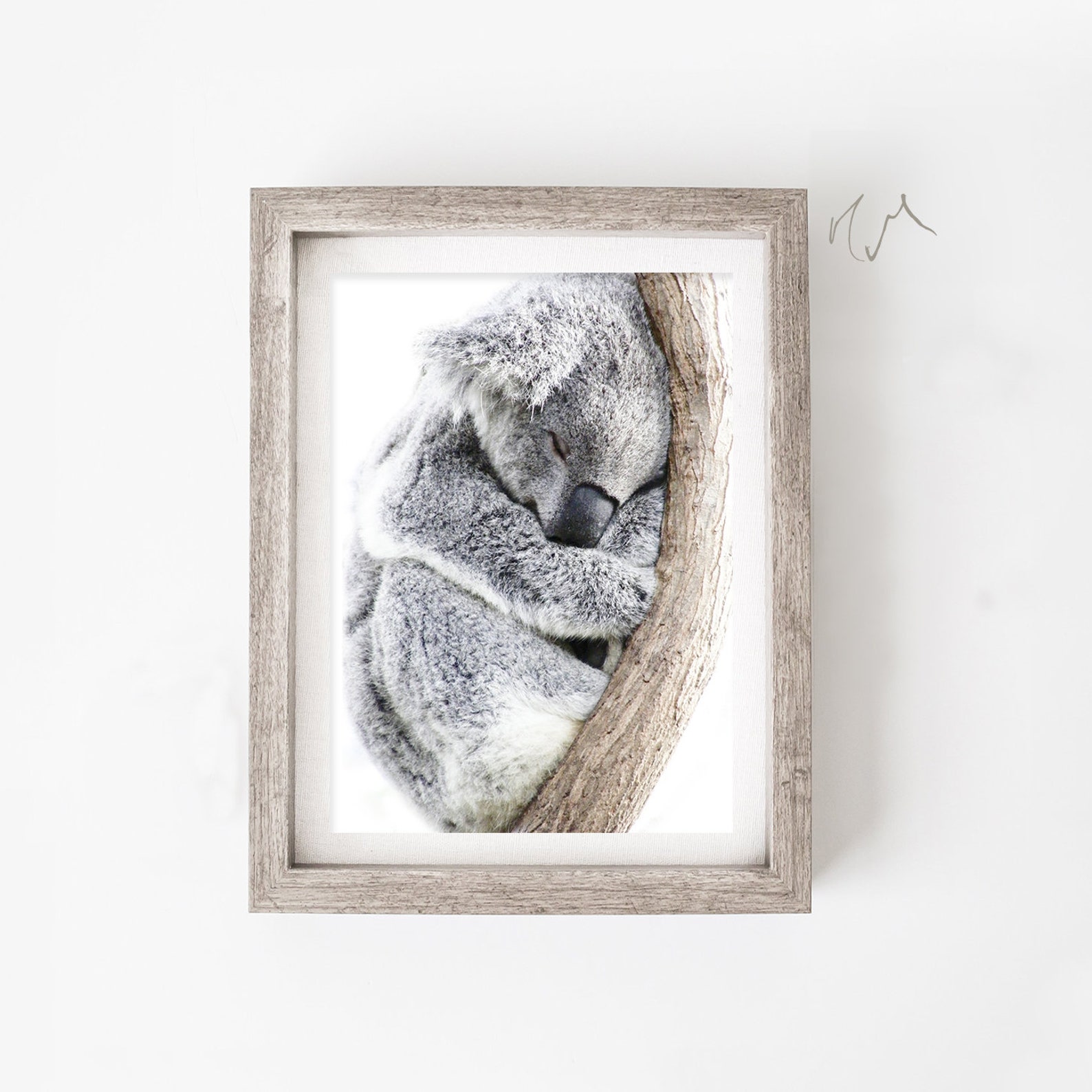 Baby Koala Print Set Digital Download Australia Neutral | Etsy