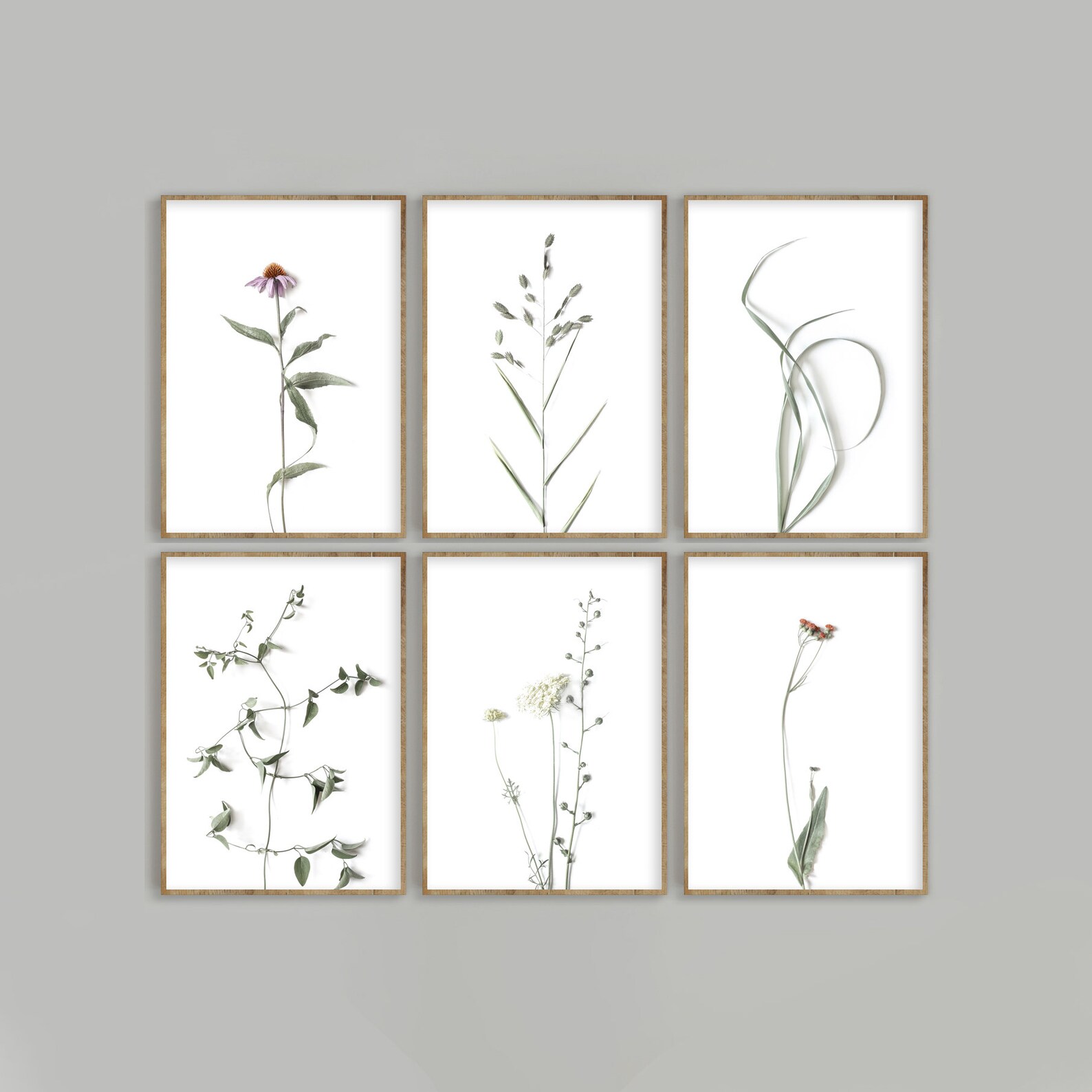 Wild Flowers Prints Botanical Print Set of 6 Digital - Etsy