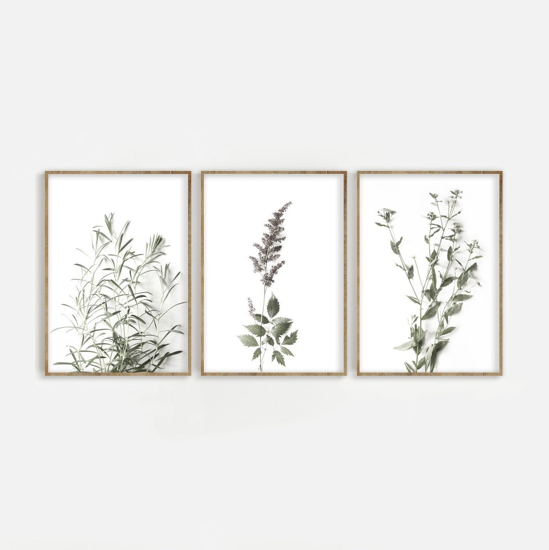 Botanical Print Set of 3, Wild Flowers Prints, Farmhouse Printable Wall ...