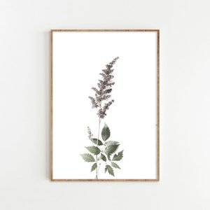 Botanical Print Set of 3, Wild Flowers Prints, Farmhouse Printable Wall ...