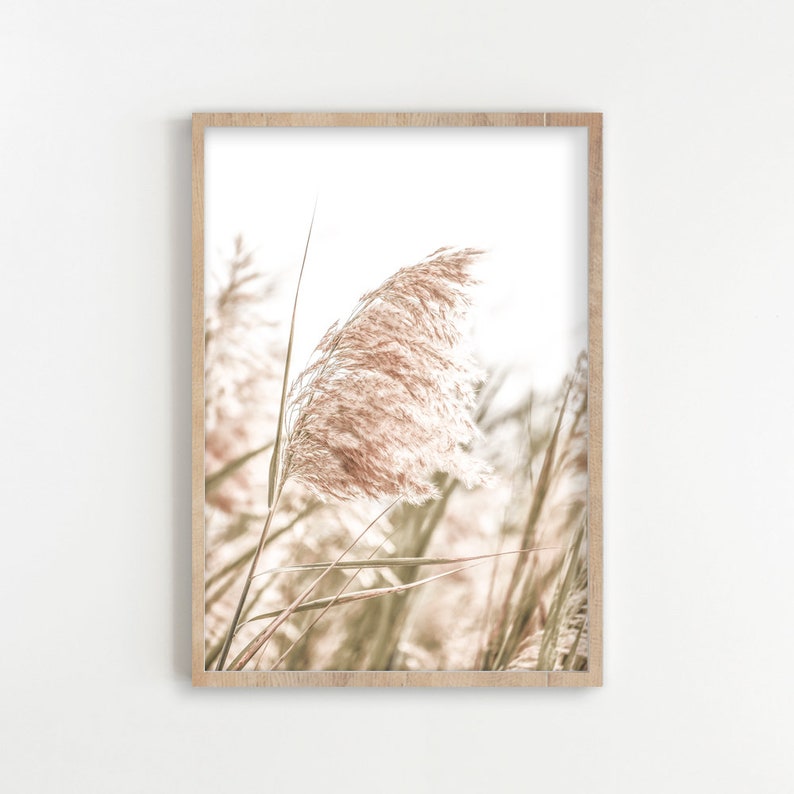 Pampas Grass Print Botanical Printable Art Beachy Modern - Etsy Australia
