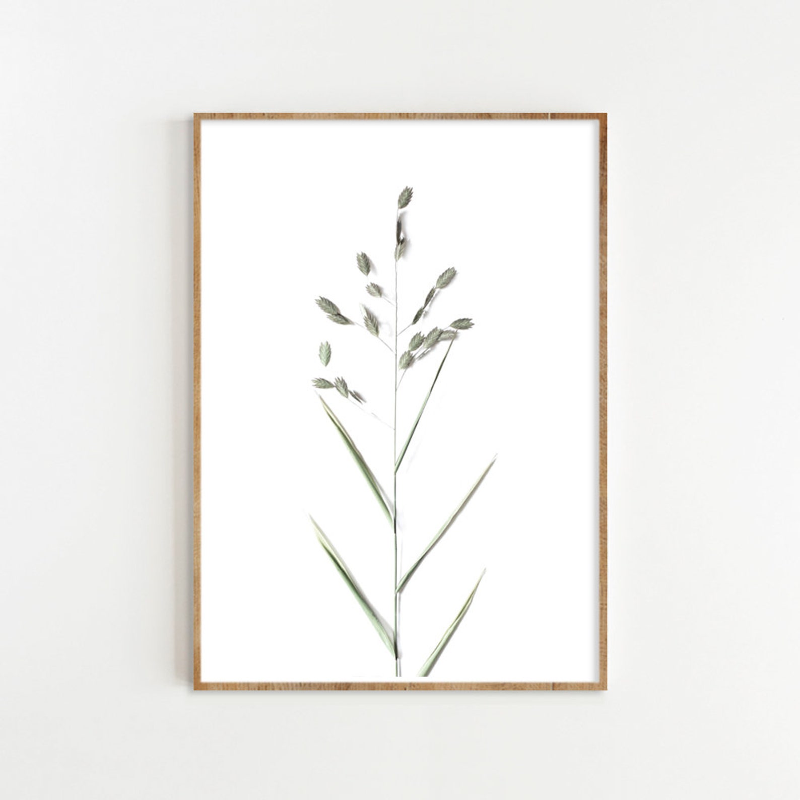 Wild Flowers Prints Botanical Print Set of 6 Digital - Etsy