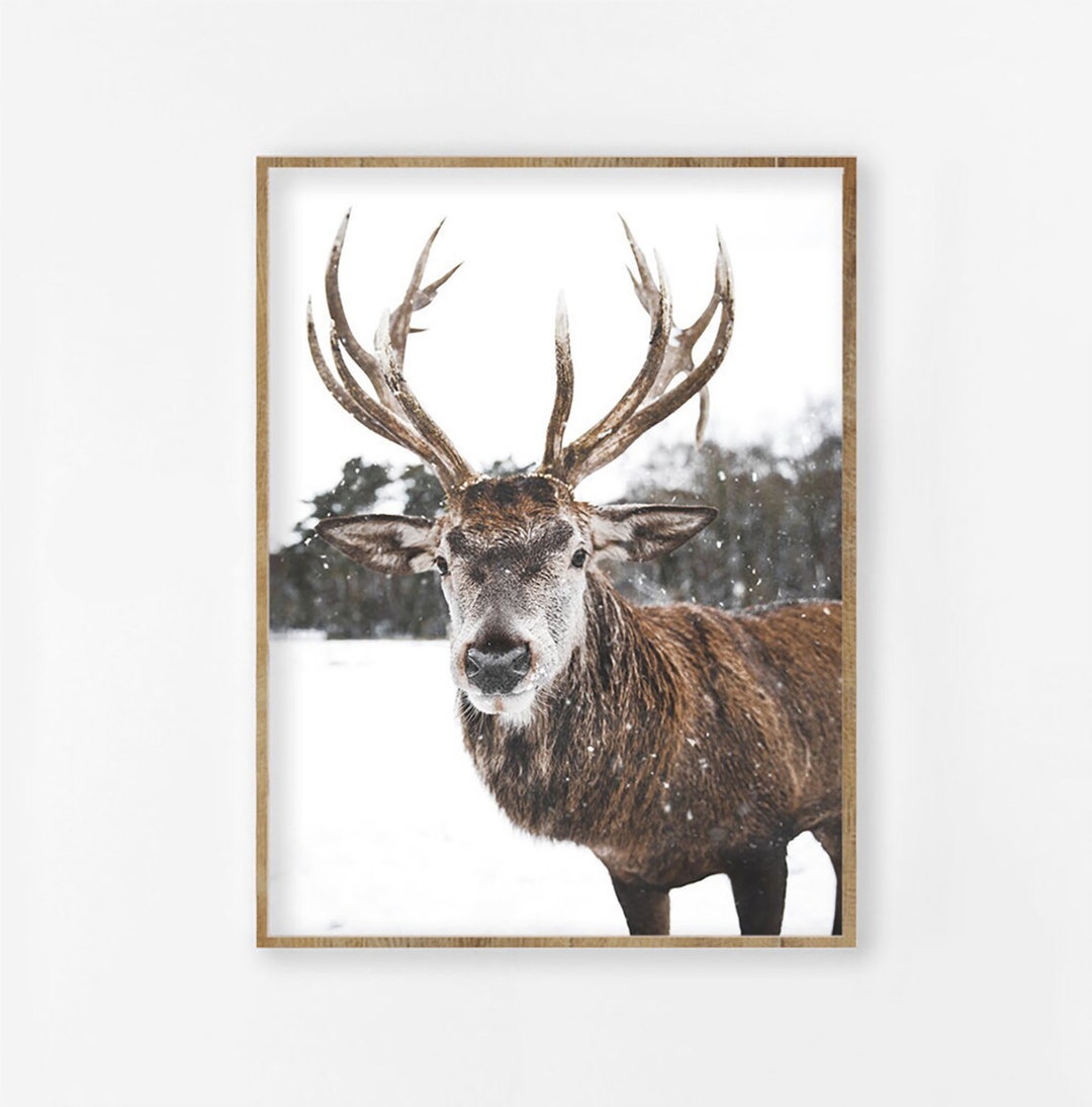 Christmas Printables, Rudolf, Deer Print, Winter Print, Wall Art ...