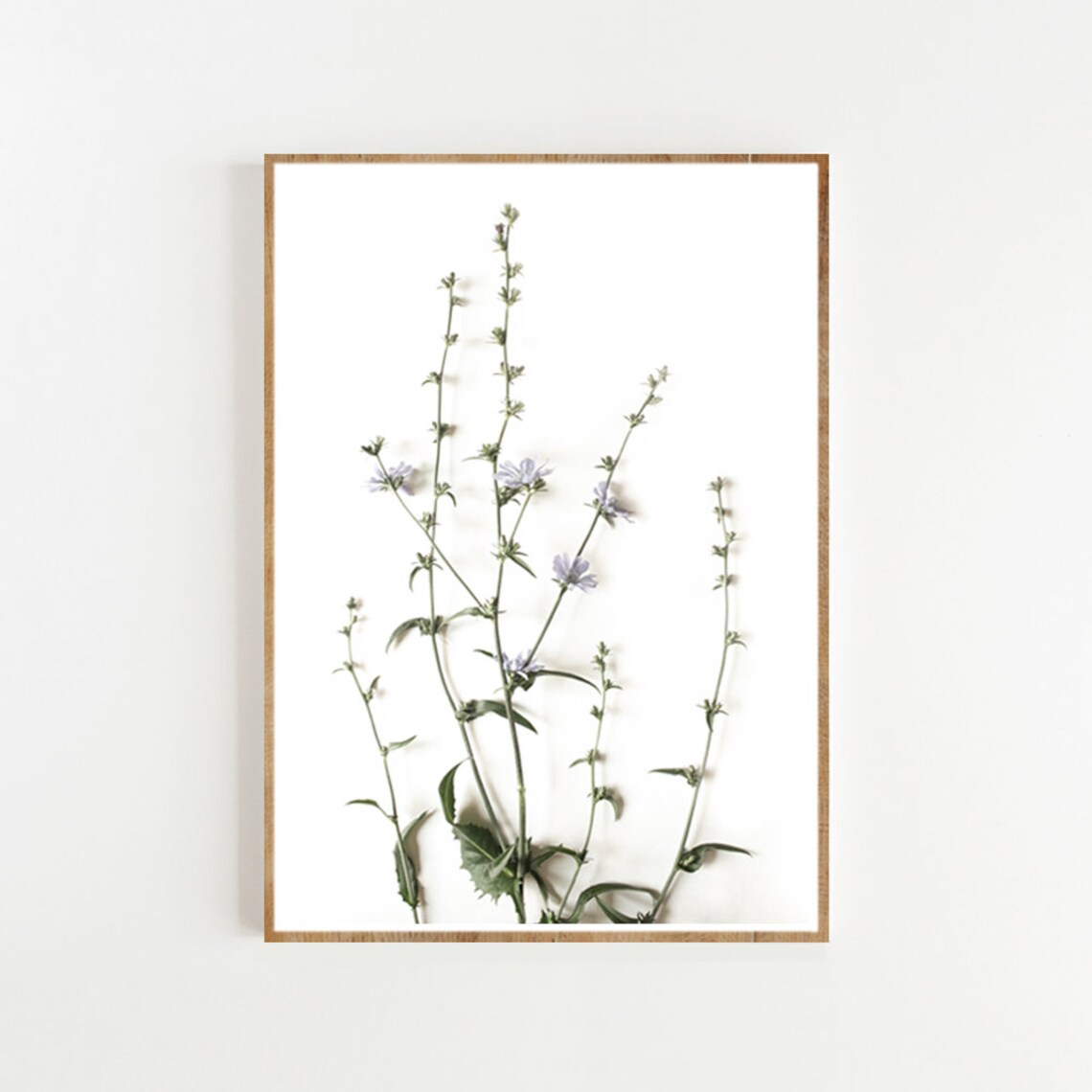 Botanical Print Set of 6 Digital Downloads Wild Flowers | Etsy