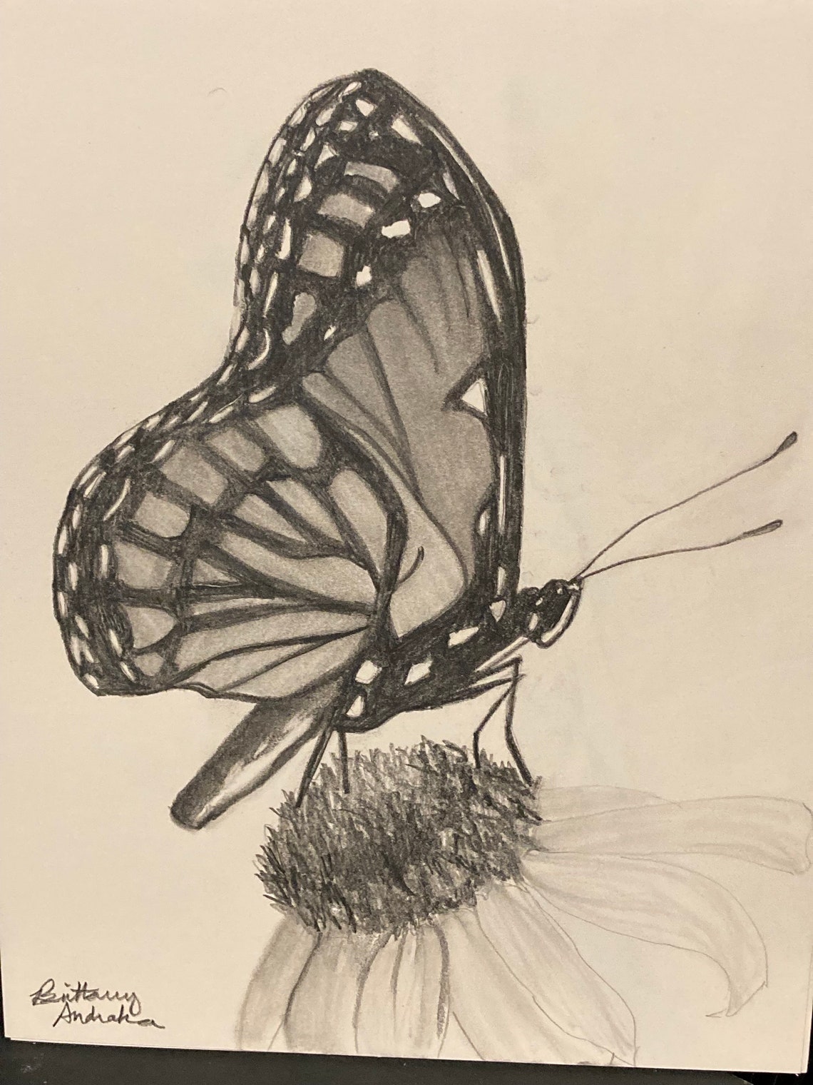 Butterfly on Daisy - Etsy UK