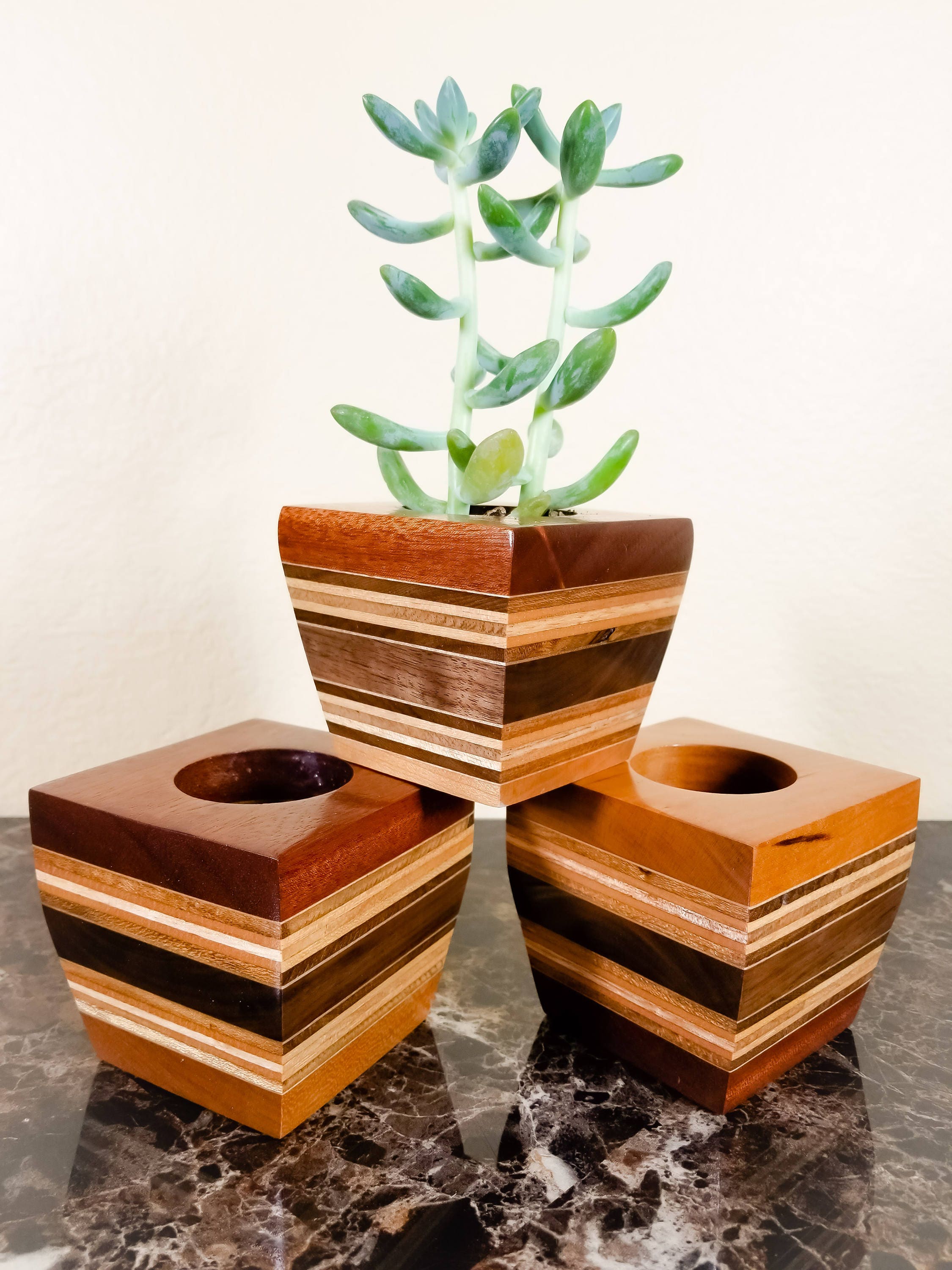 Desktop Planter - Etsy