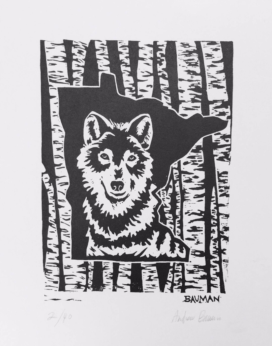 Minnesota Wolf Print--birch - Tree - Wolverine - Woods - Black and ...