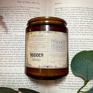 Hidden Library Candle, Book Geek Gift, Gift for Readers, Bookish Soy ...