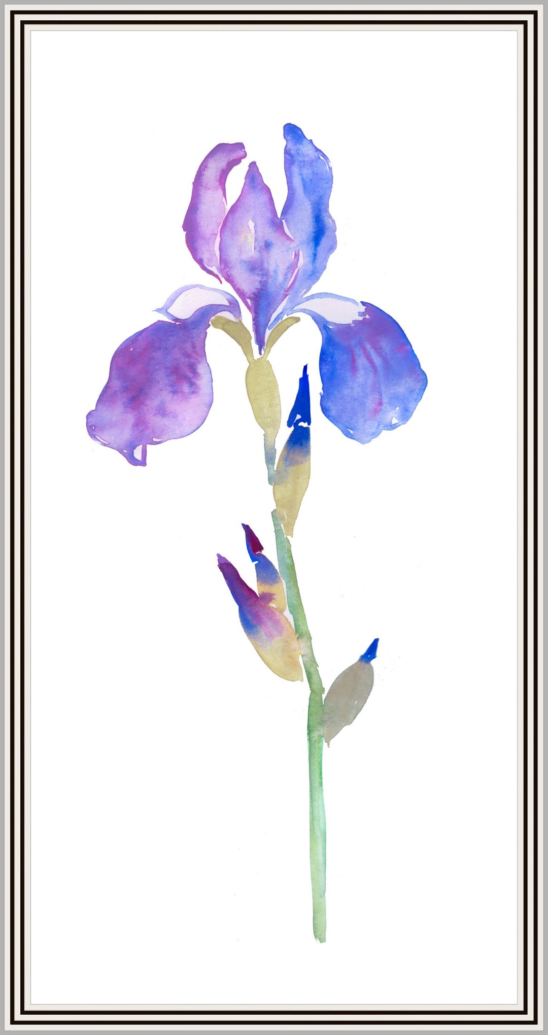Purple Iris Watercolor Print on Canvas Gallery Wrap Floral Study Art ...