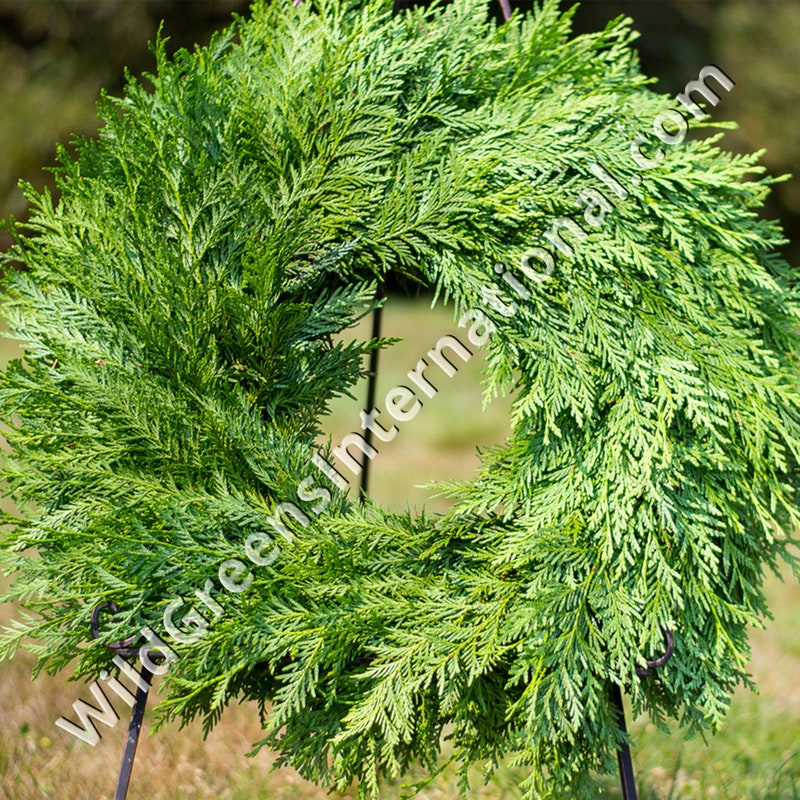 Natural Wreaths - Etsy