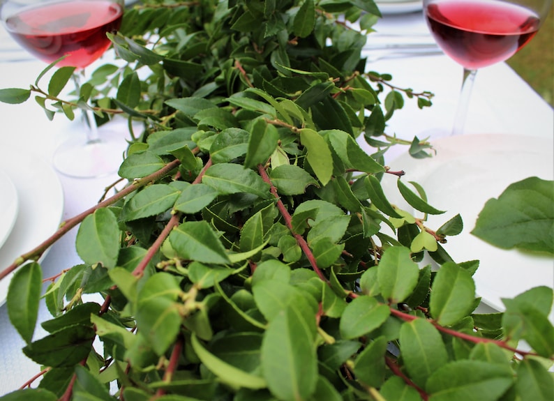 Fresh Single Green Huckleberry Wedding Garland Wedding | Etsy