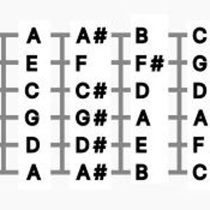 Guitar Fretboard Notes - Simple - Etsy