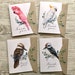 AUSTRALIAN BIRDS Cards - Set of 4 Assorted Aussie Bird Designs Included ...