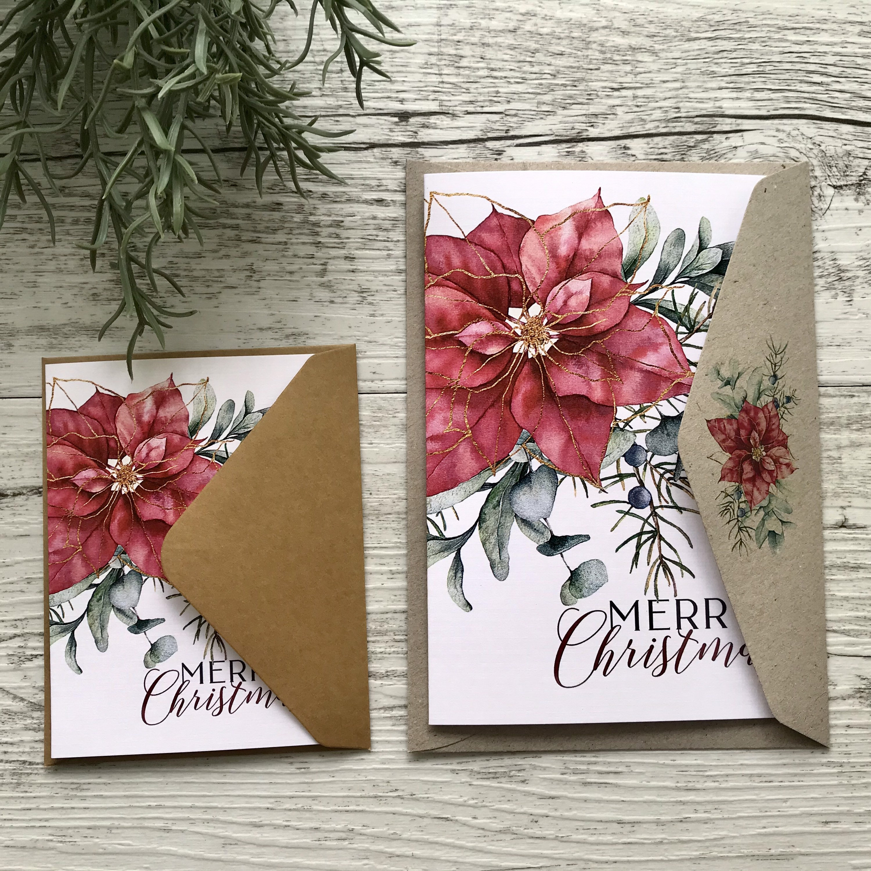POINSETTIA Christmas Card AUSTRALIAN Flora Aussie | Etsy