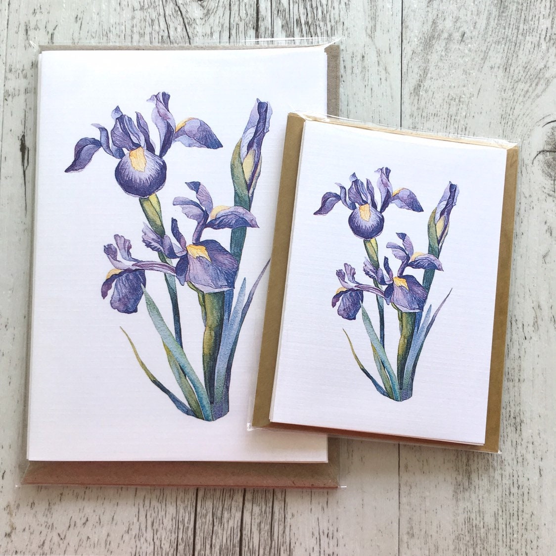 IRIS Cards Set of 4 Mini or Regular Size Card Set | Etsy