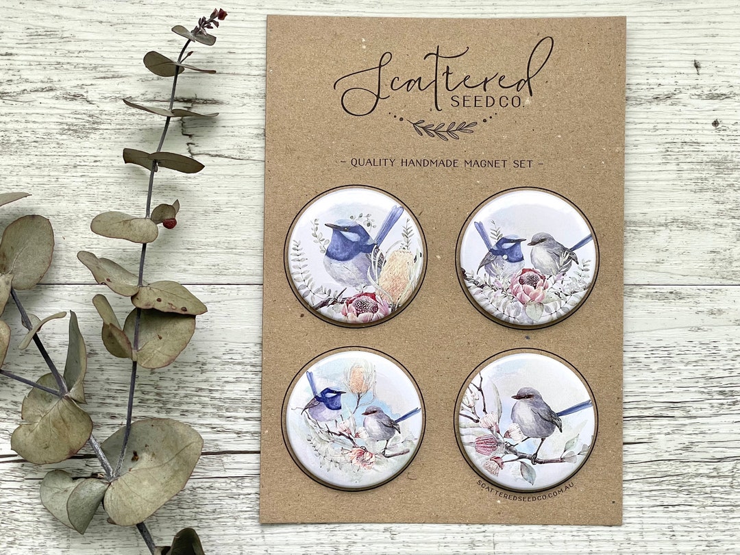 SUPERB FAIEY WREN Fridge Magnets - Large 55mm - Set of 4 - Birds Magnet ...