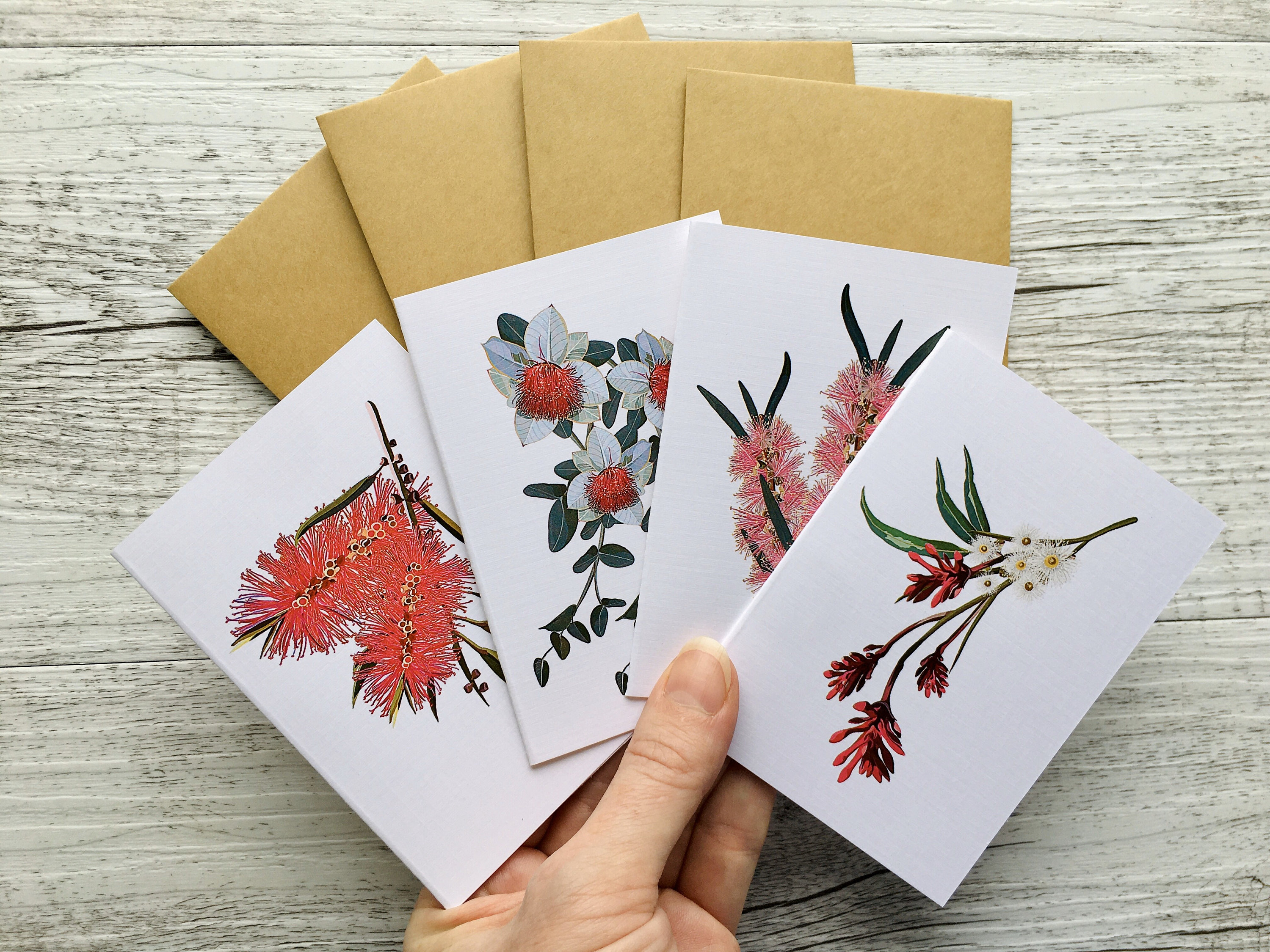 AUSTRALIAN NATIVE FLORA Cards Set of 4 Mini or Regular Size | Etsy