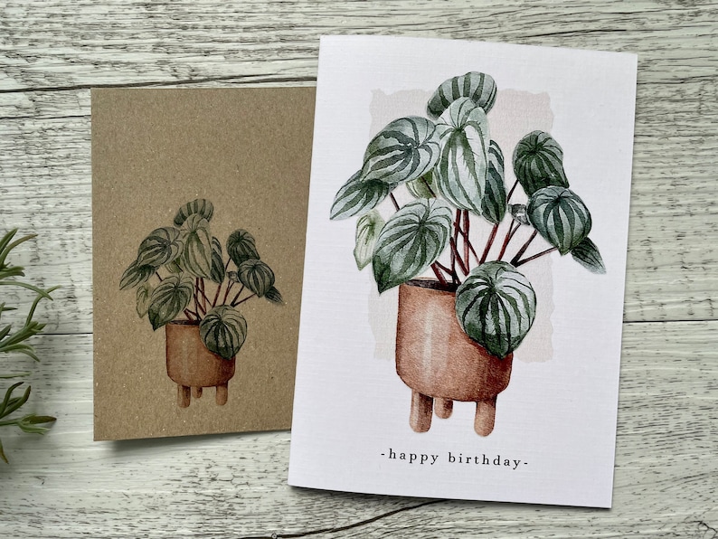 HOUSE PLANTS Collection - Birthday - Thank You - Congratulations ...