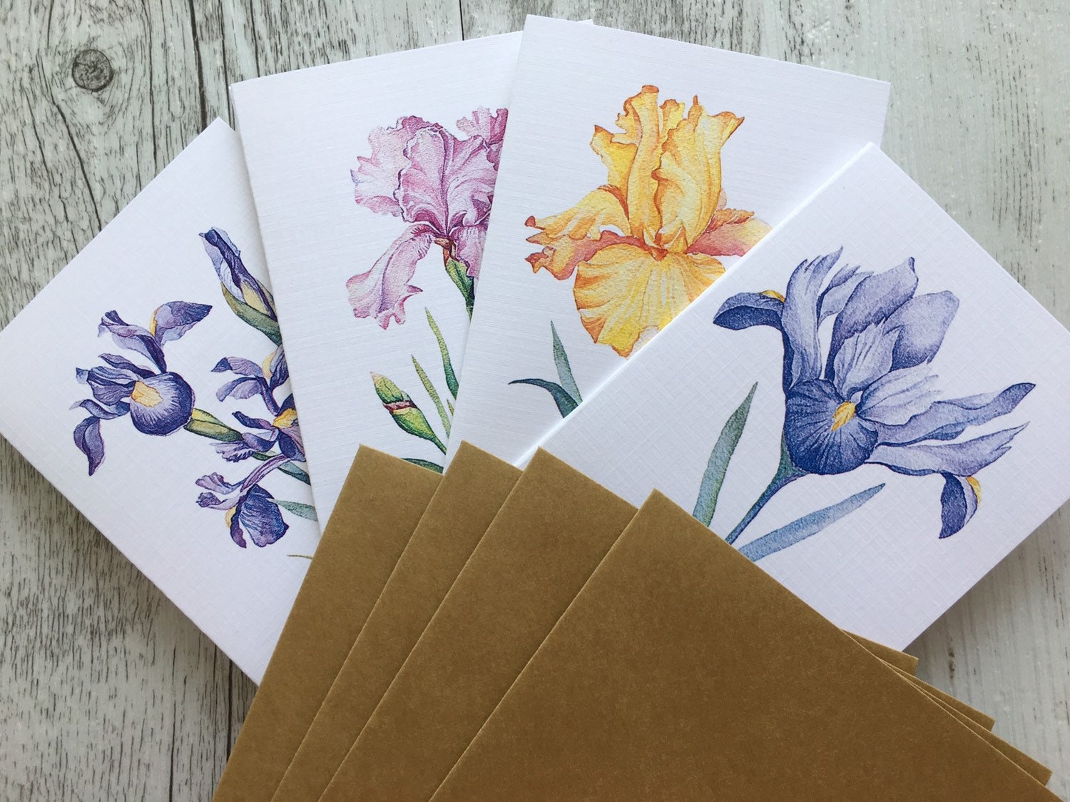 IRIS Cards Set of 4 Mini or Regular Size Card Set | Etsy