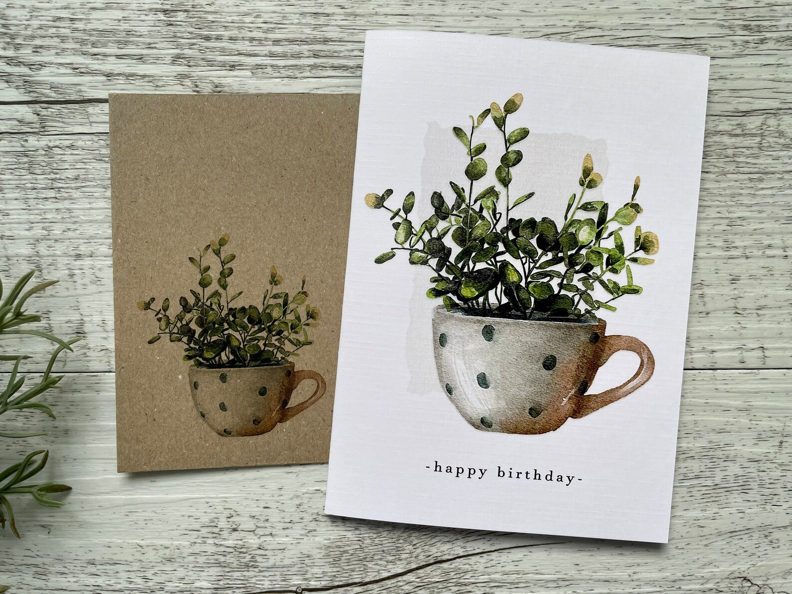 HOUSE PLANTS Collection - Birthday - Thank You - Congratulations ...