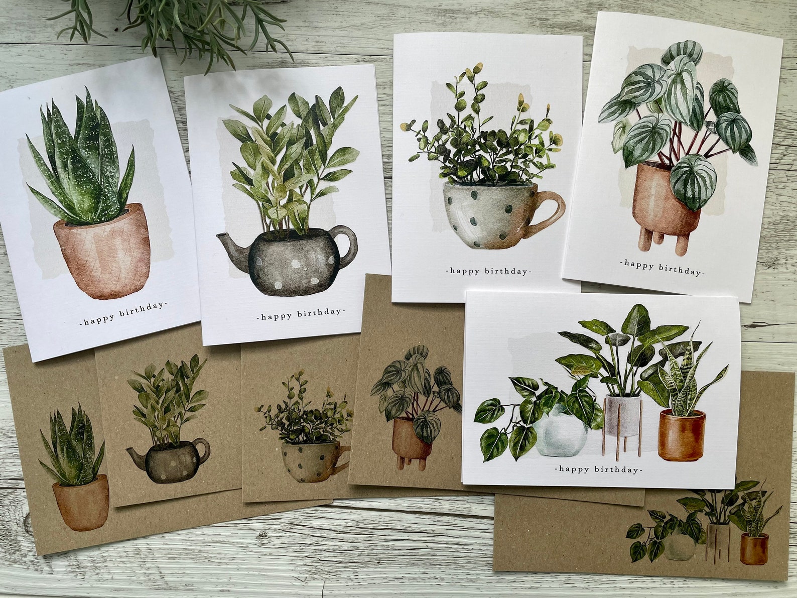 HOUSE PLANTS Collection - Birthday - Thank You - Congratulations ...