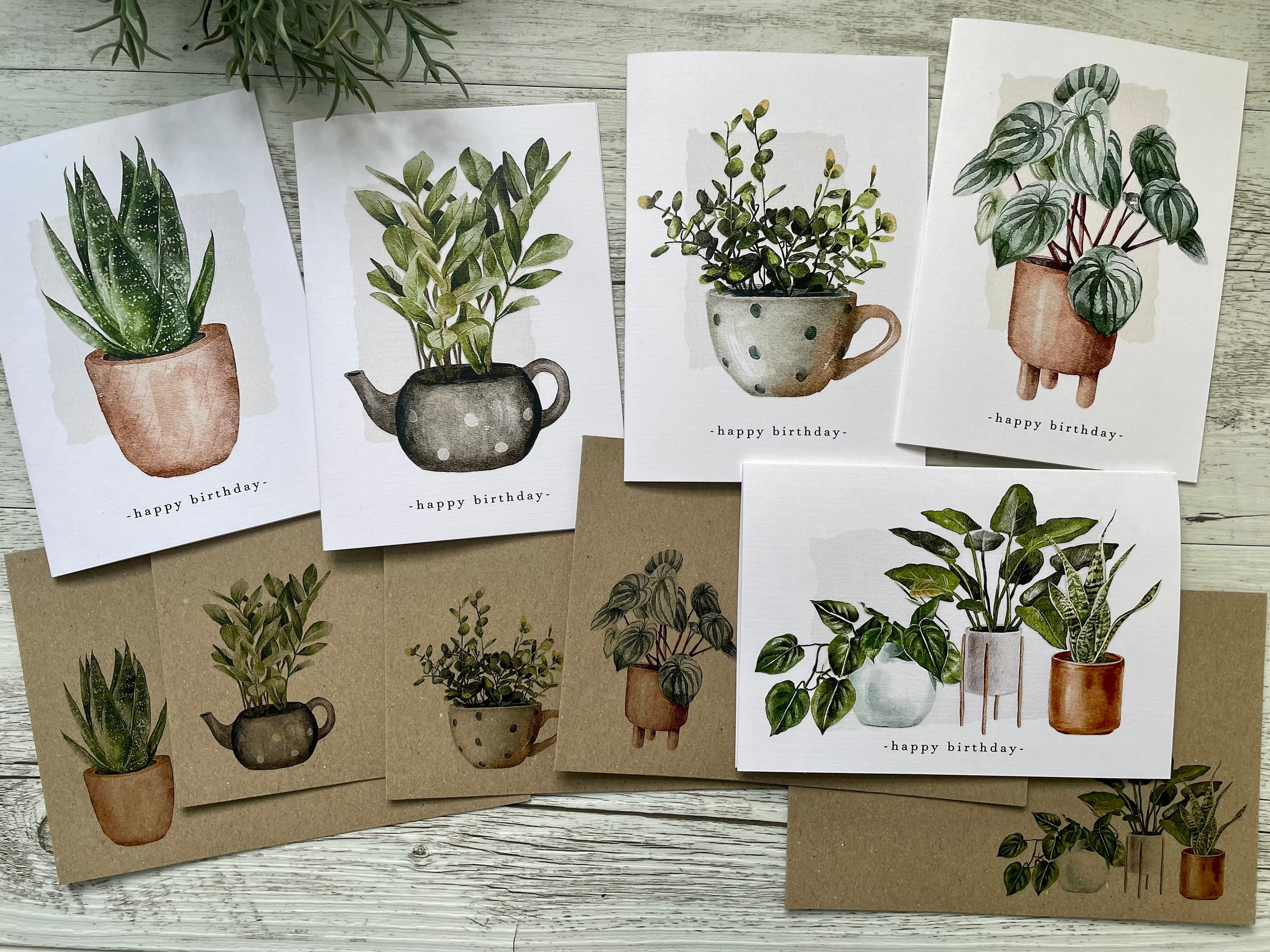 HOUSE PLANTS Collection - Birthday - Thank You - Congratulations ...