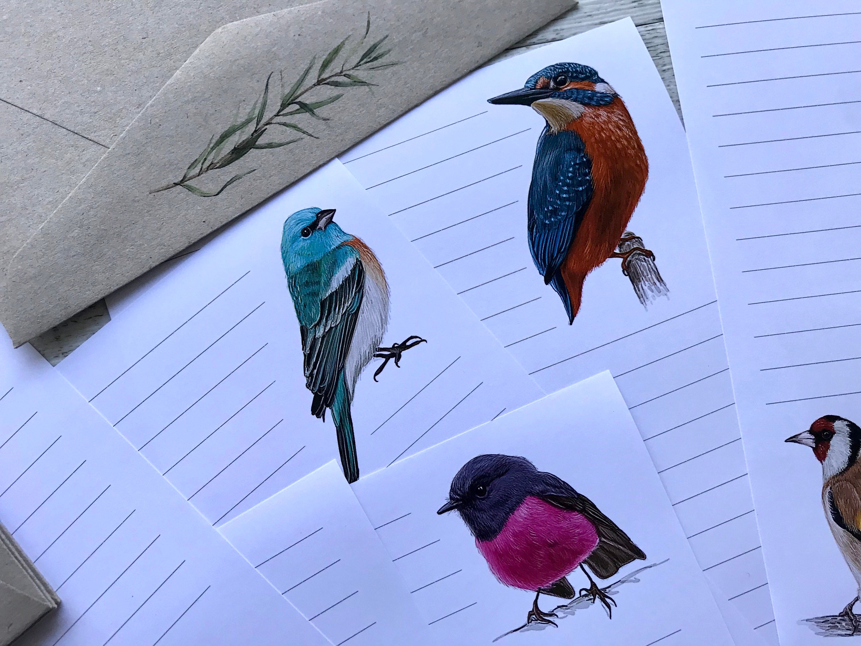 BIRDS of the WORLD Collection Writing Paper Set - Birds Themed ...
