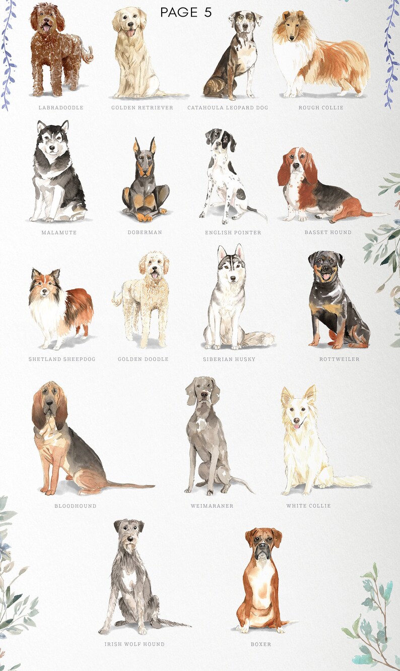 DOG Notepaper Set Set of 20 Dog Stationery Choose Your | Etsy