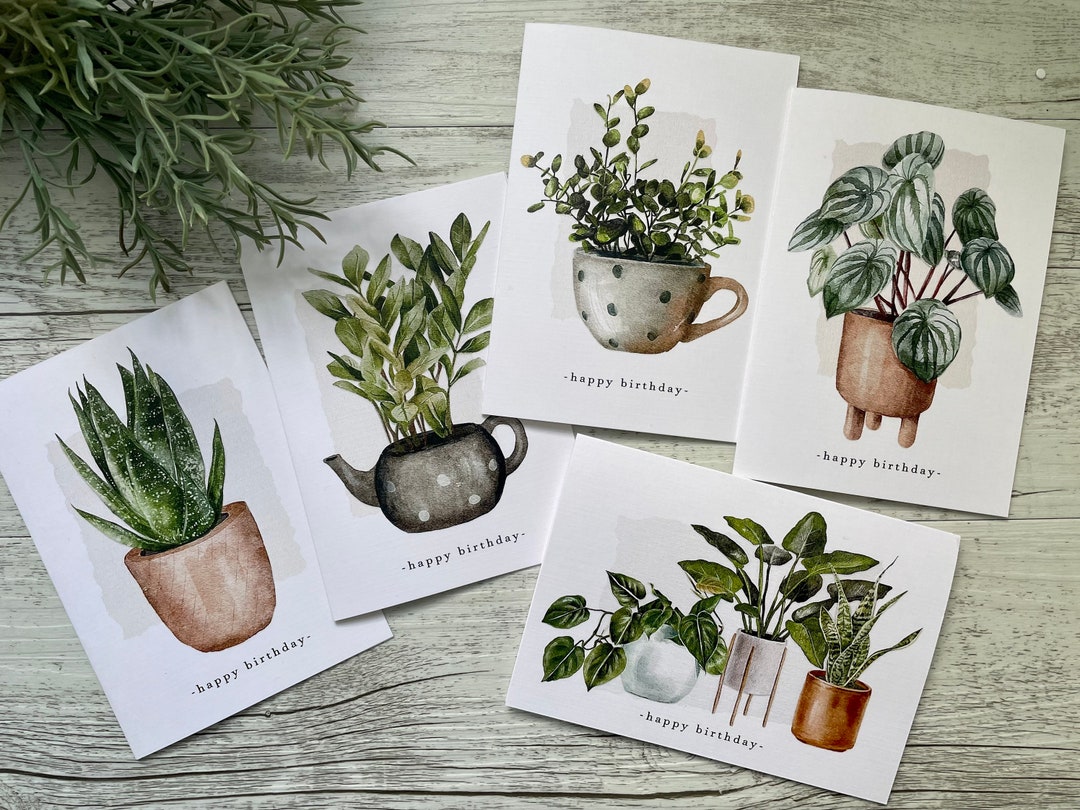 HOUSE PLANTS Collection - Birthday - Thank You - Congratulations ...