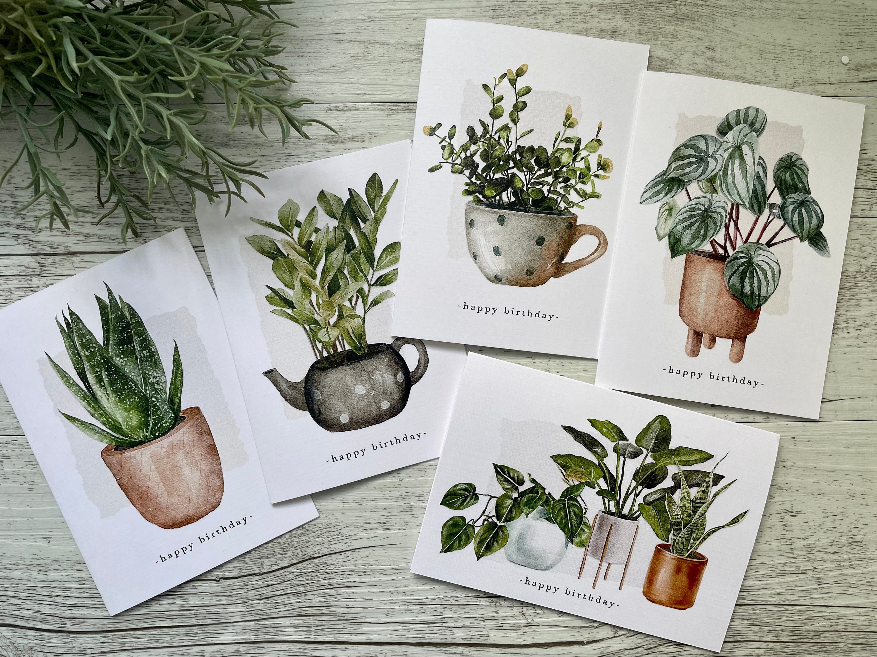 HOUSE PLANTS Collection - Birthday - Thank You - Congratulations ...