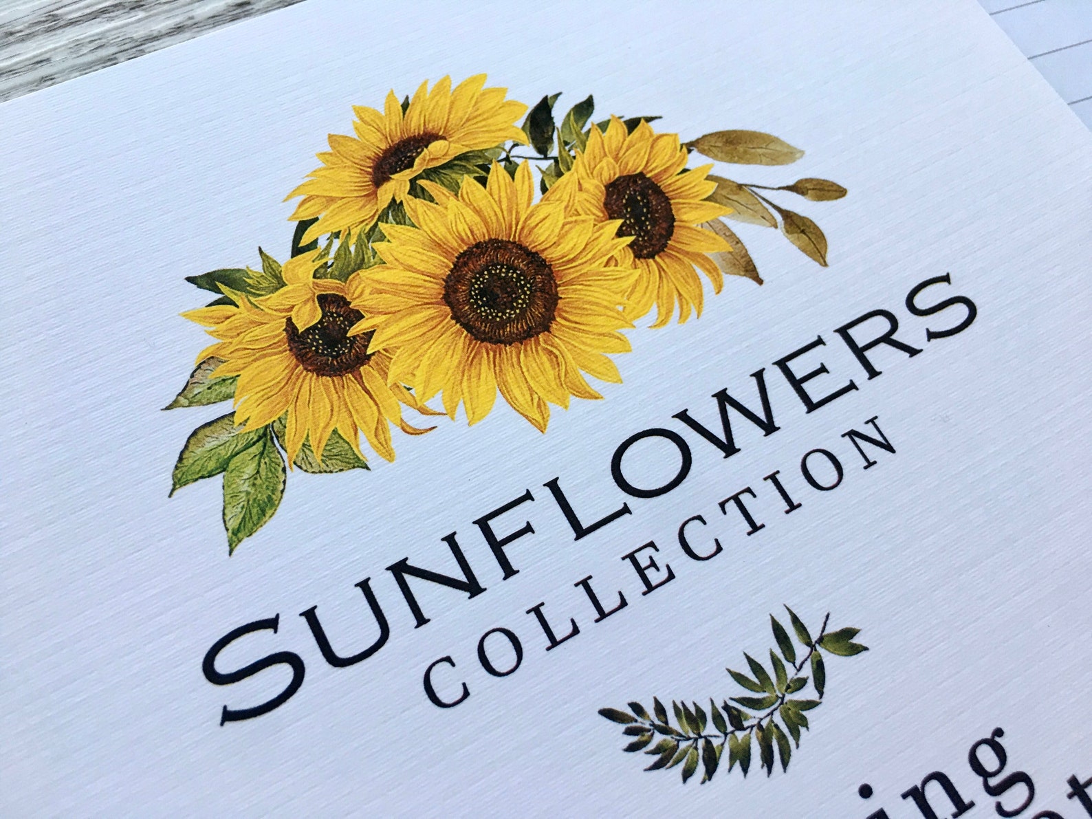 SUNFLOWERS Collection Writing Paper Set Pot Plants Themed | Etsy