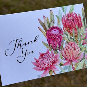Australian Thank You Cards AUSTRALIAN WARATAH Collection Thank You ...