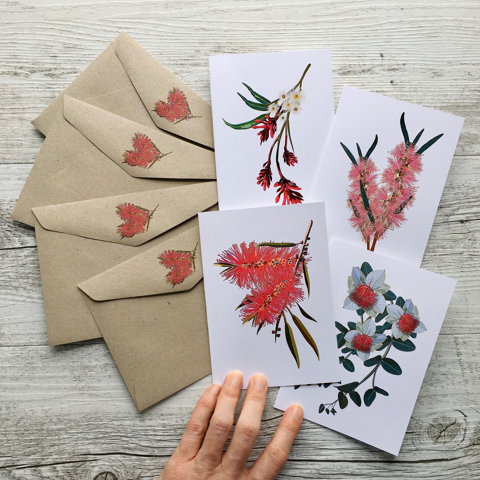 AUSTRALIAN NATIVE FLORA Cards Set of 4 Mini or Regular Size - Etsy