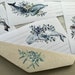 OCEAN FLORAL Collection Writing Paper Set Marine Themed - Etsy