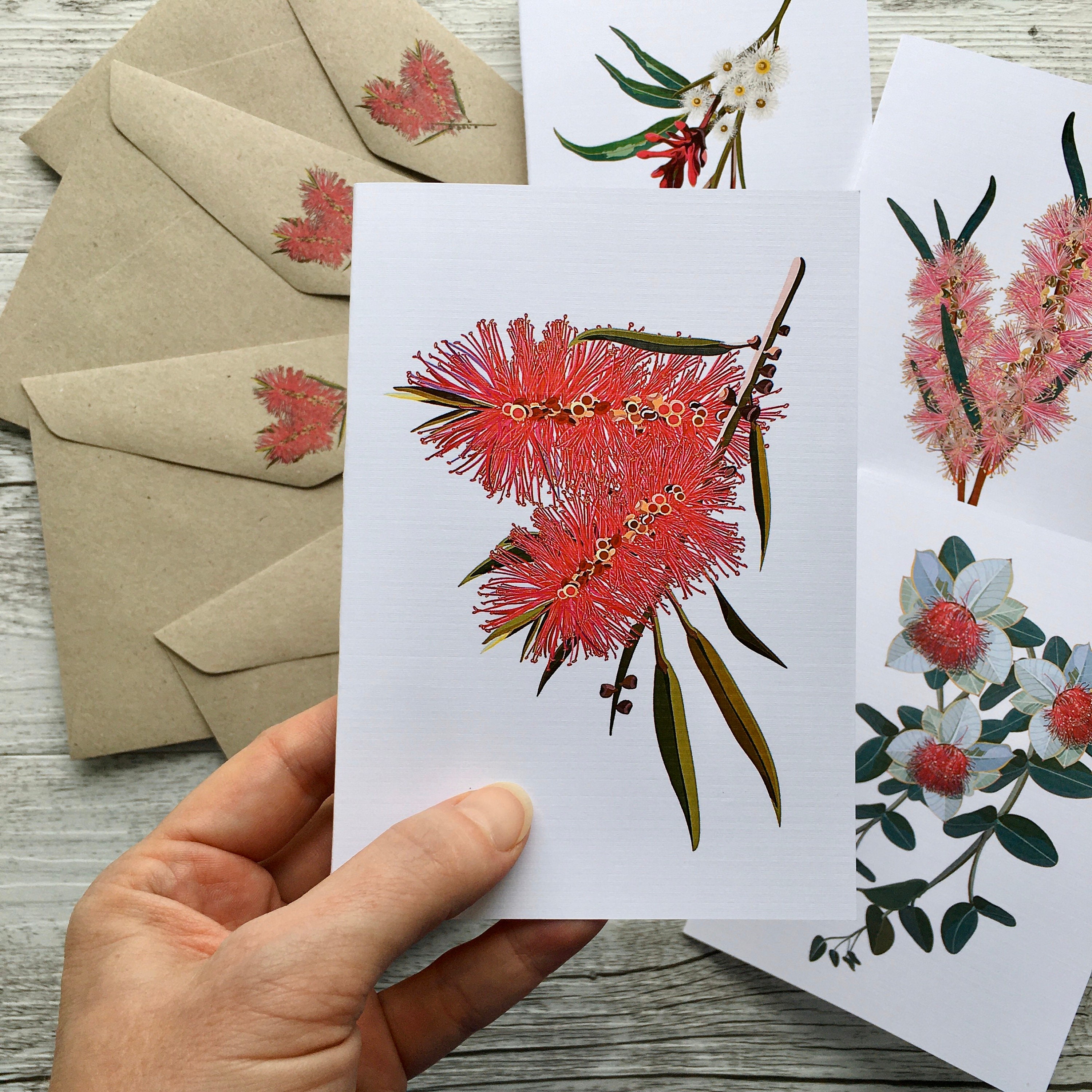AUSTRALIAN NATIVE FLORA Cards Set of 4 Mini or Regular Size | Etsy