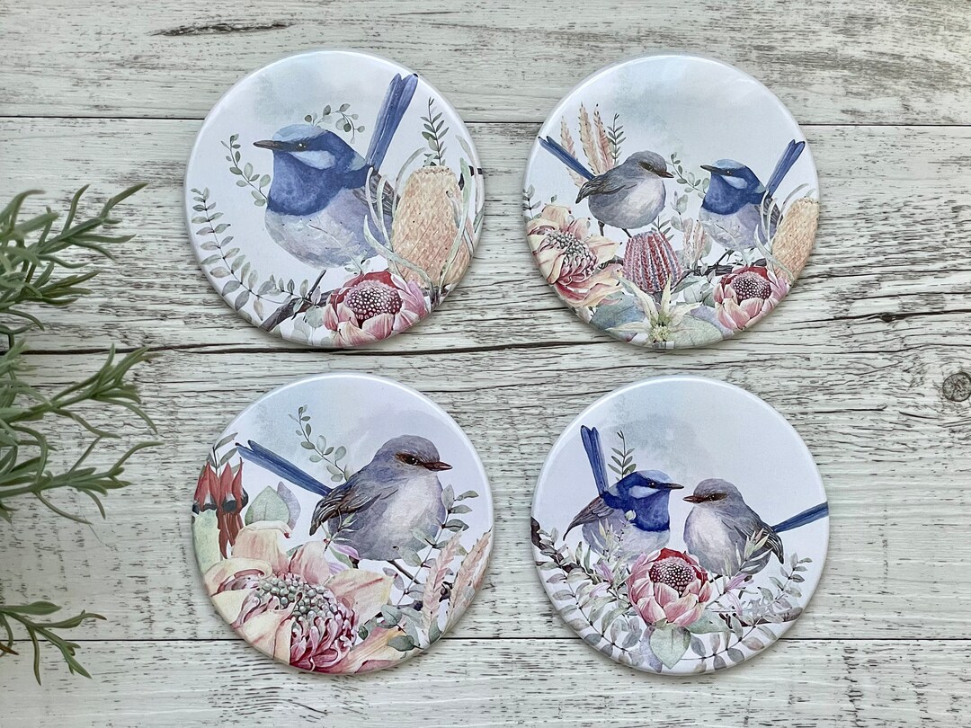 Extra Large Magnets - 3 1/2” Wide Australian SUPERB FAIRY WRENS ...