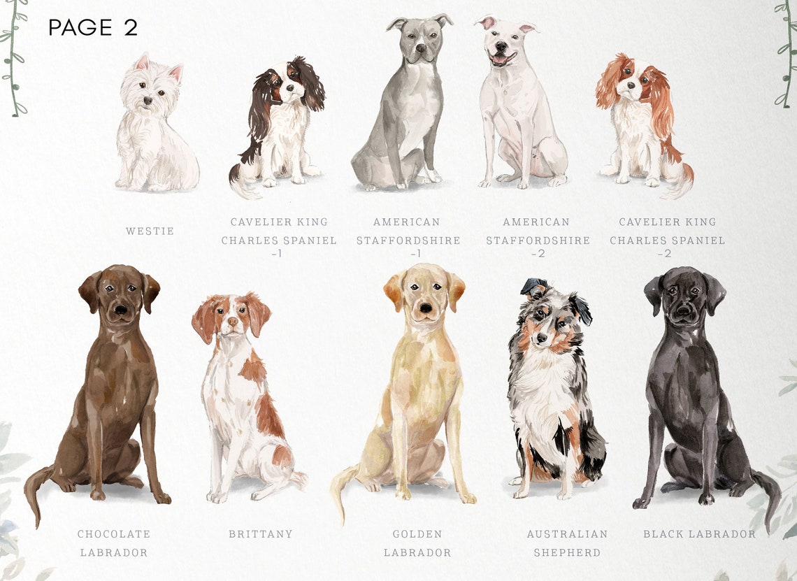 Personalised DOG Card - Thank You, Birthday, Anniversary, Christmas DOG ...