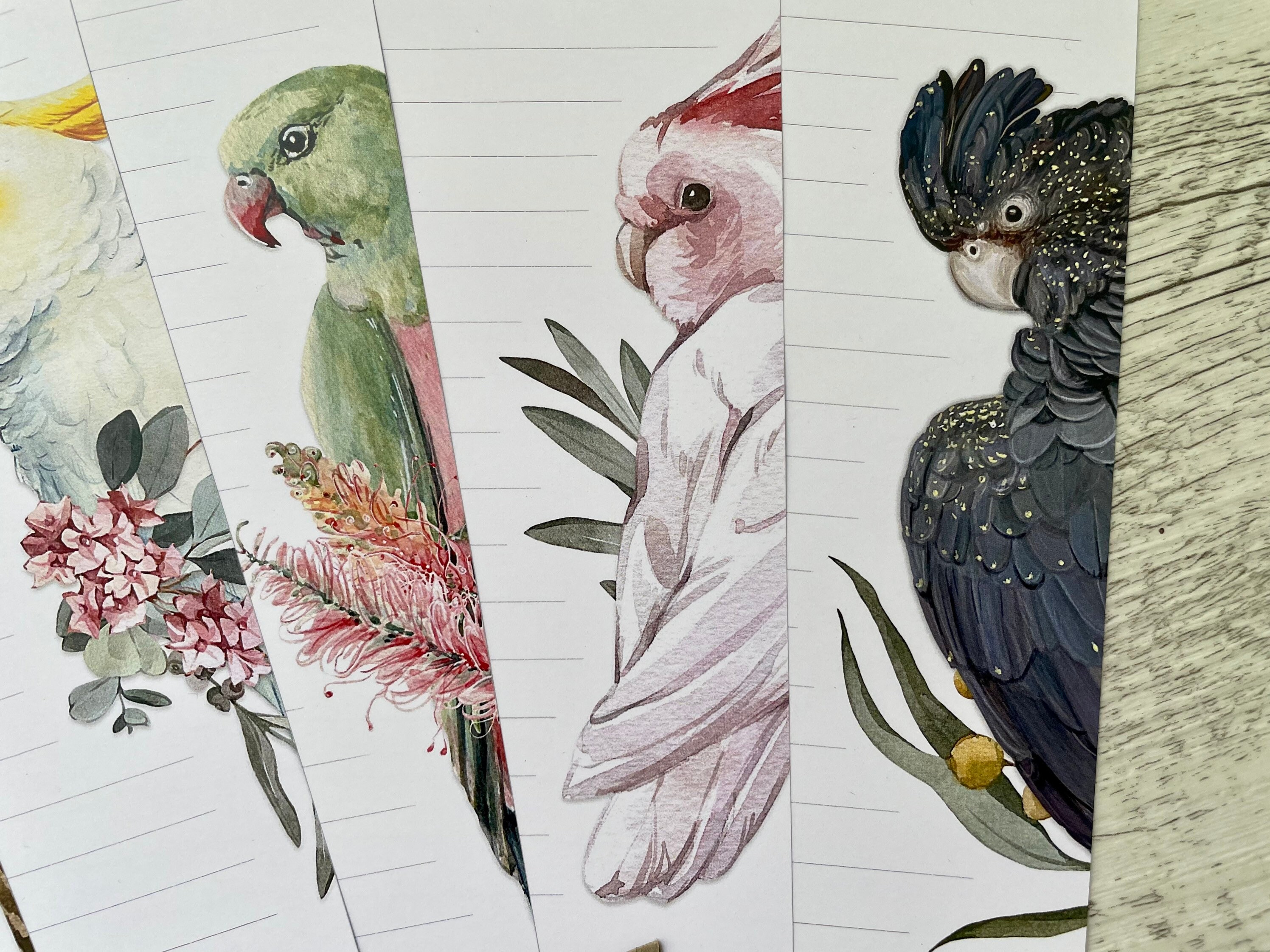 AUSTRALIAN BIRDS PROFILE Collection Writing Paper Set - Etsy