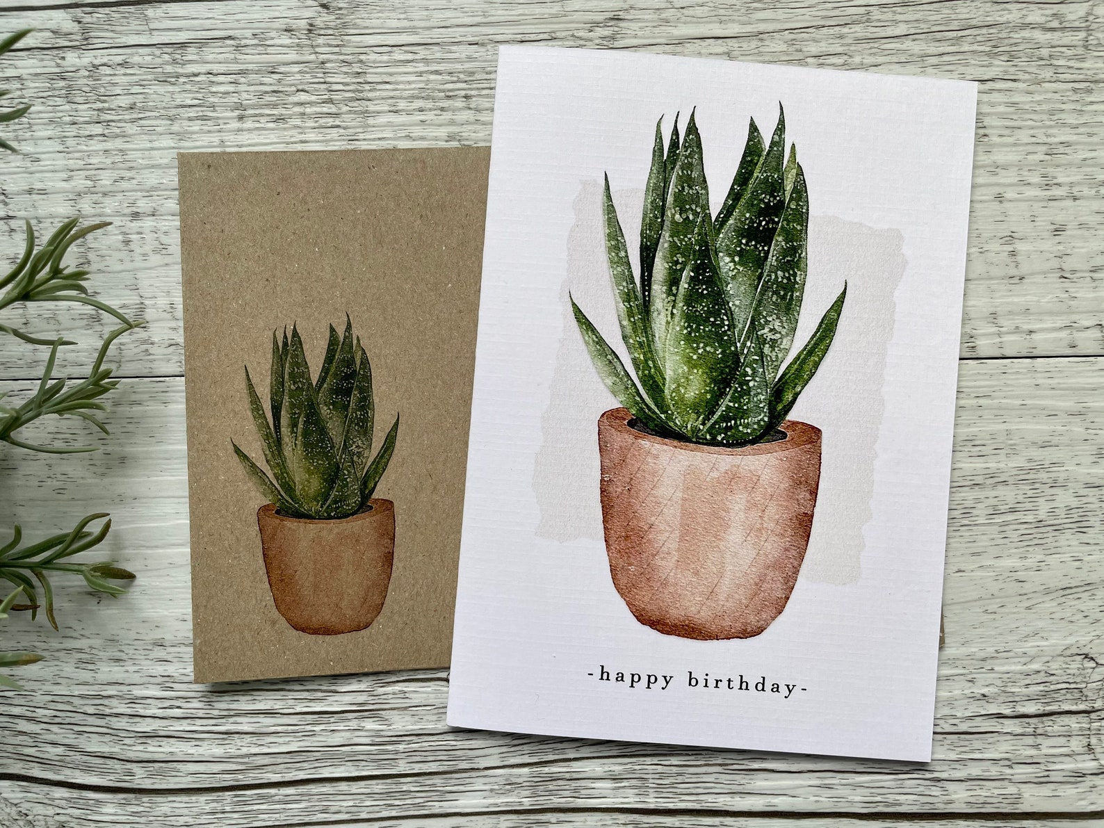 HOUSE PLANTS Collection - Birthday - Thank You - Congratulations ...