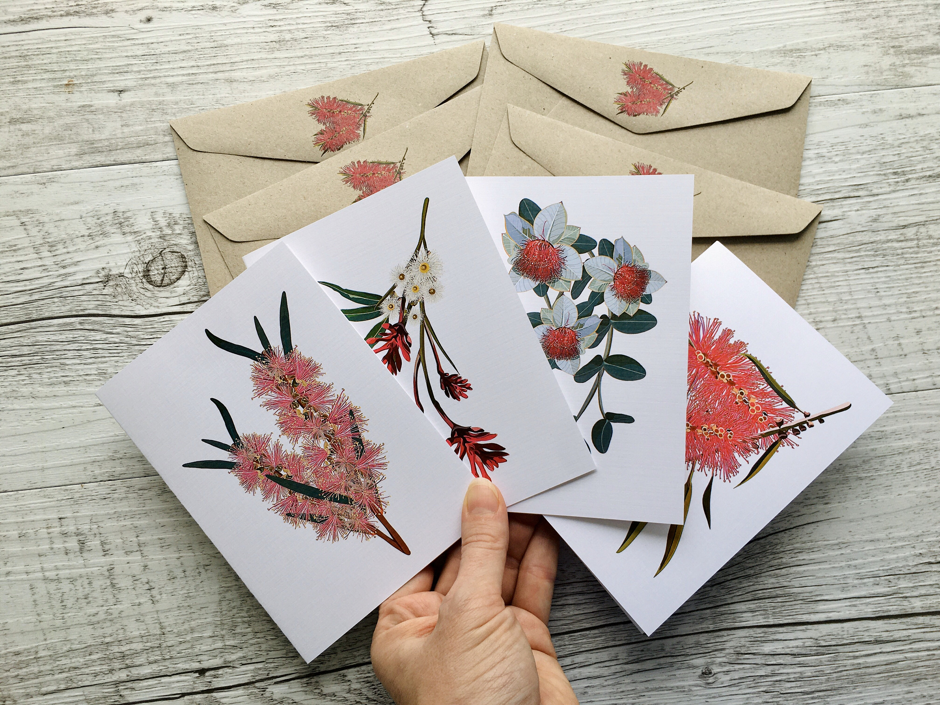 AUSTRALIAN NATIVE FLORA Cards Set of 4 Mini or Regular Size | Etsy