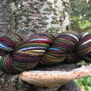 Denali Autumn Alaskan Colors Collection Hand Painted Chunky | Etsy