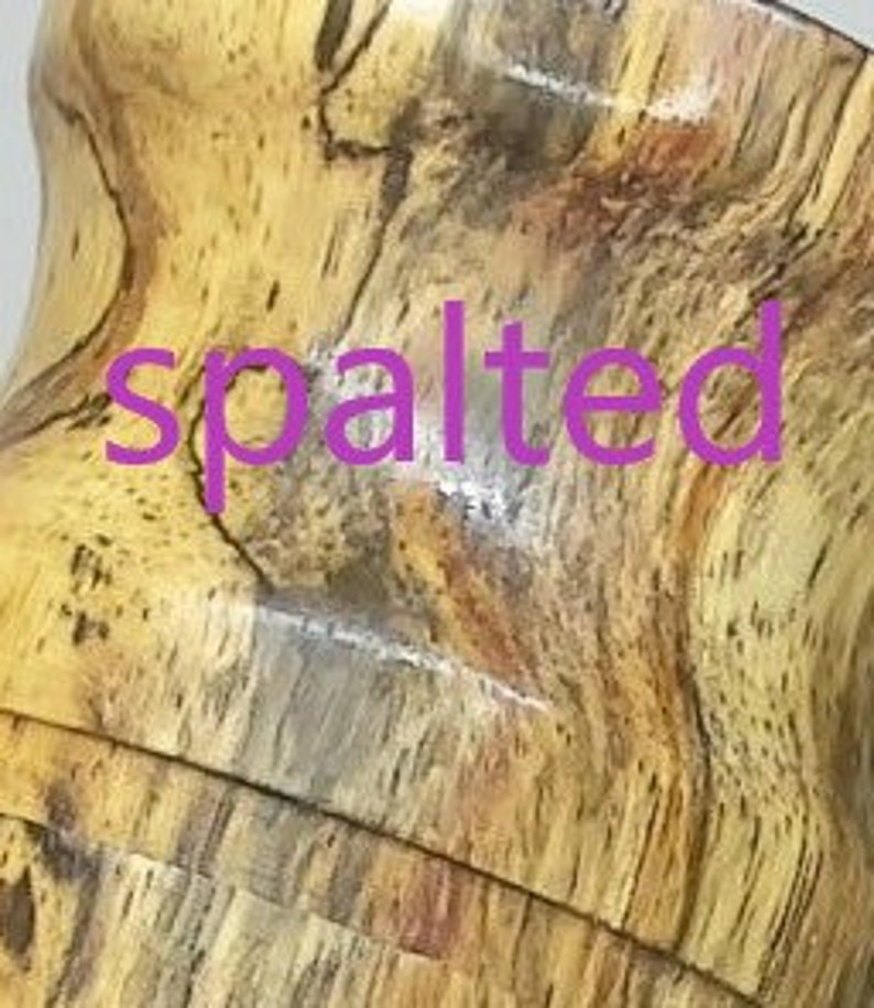 Lapetus Model Holder / Miniature Holder Holds Models up to - Etsy