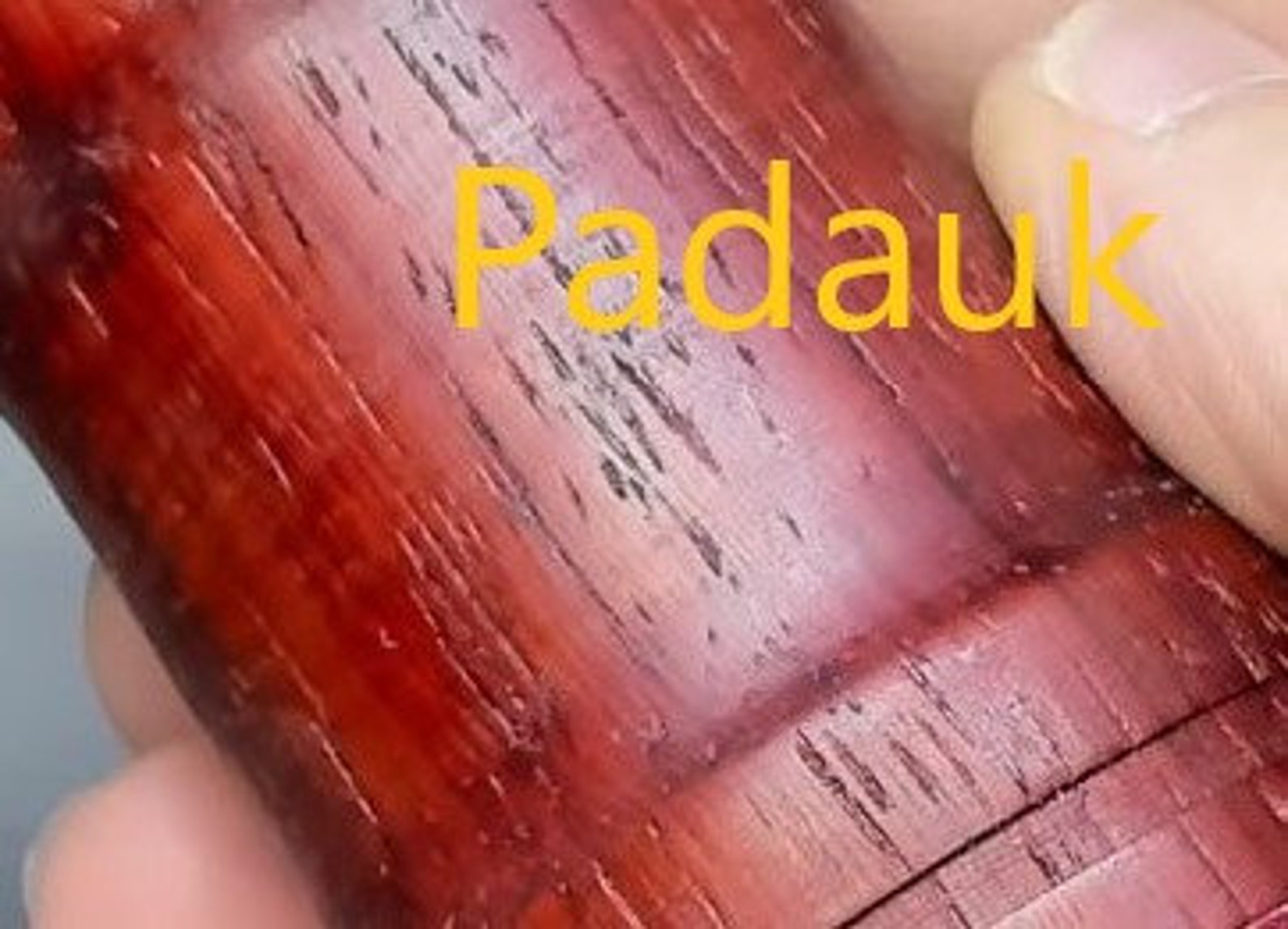 Phoebe Model Holder / Miniature Holder Holds All Model Sizes | Etsy