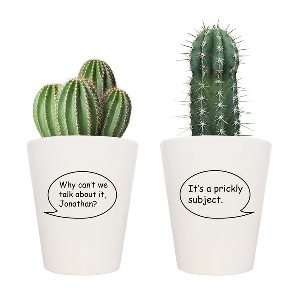 Funny Succulent Pots - Etsy