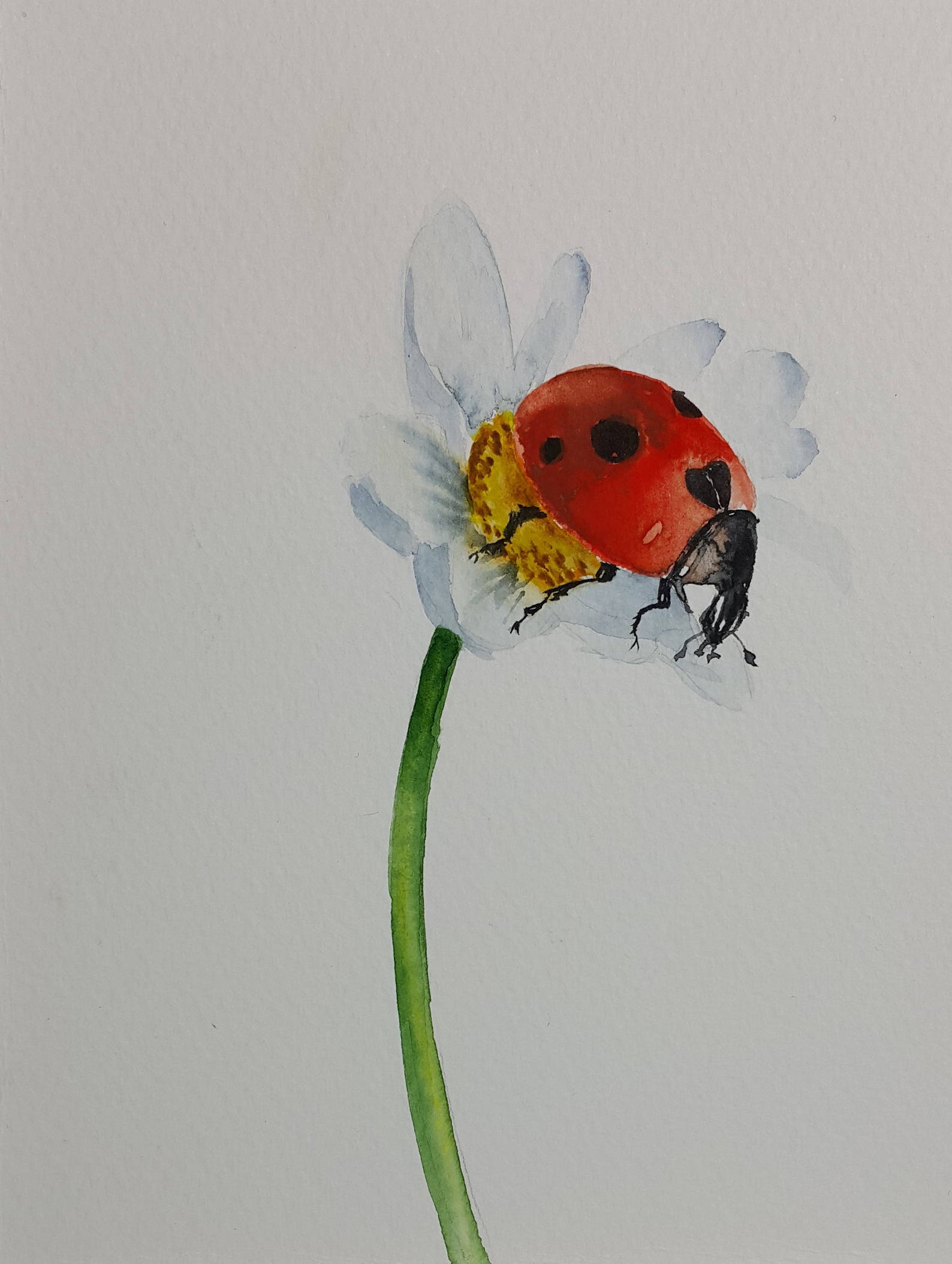 Ladybug Fine Art Print From Watercolor Set of 2 Prints Ladybug Prints ...