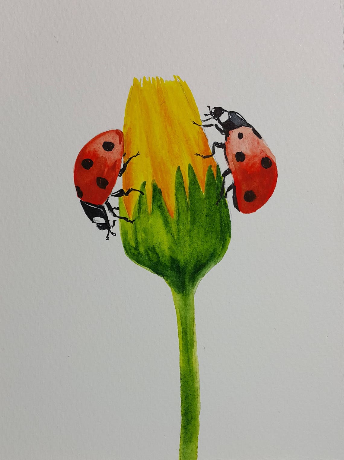 Ladybug Fine Art Print From Watercolor Set of 2 Prints Ladybug Prints ...