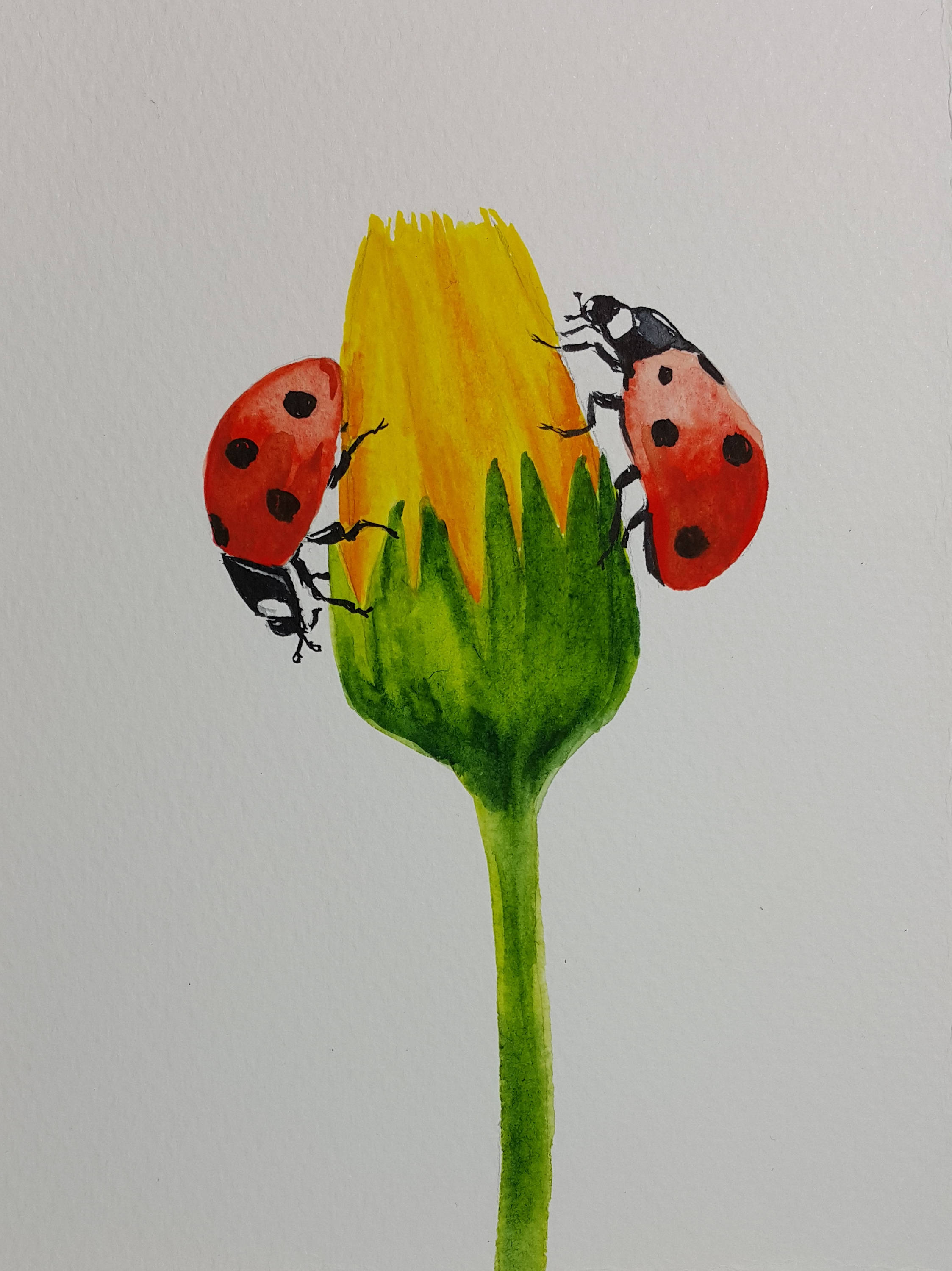 Ladybug Fine Art Print From Watercolor Set of 2 Prints Ladybug Prints ...